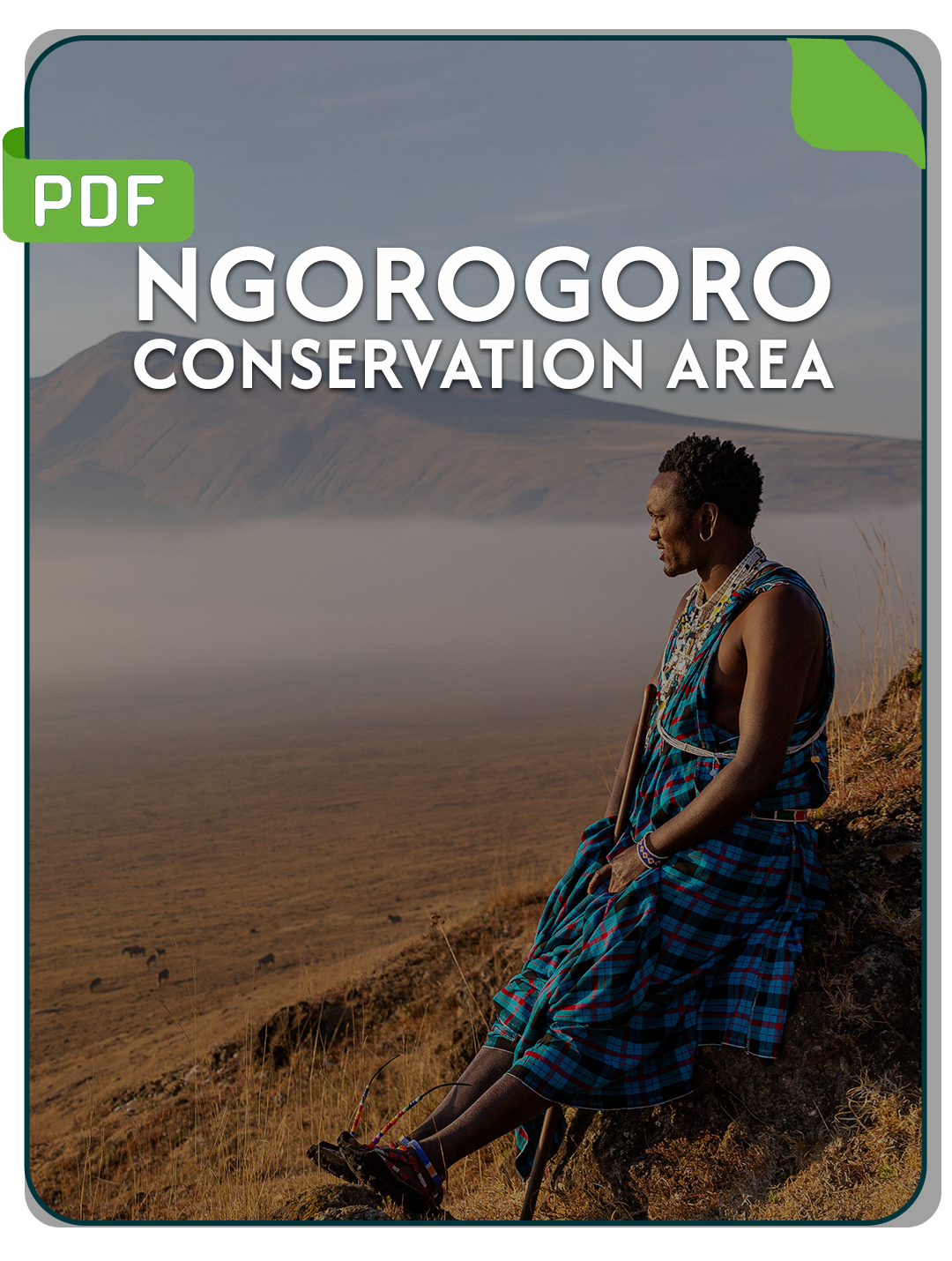 Ngorongoro Conservation Area - A Wildlife Paradise